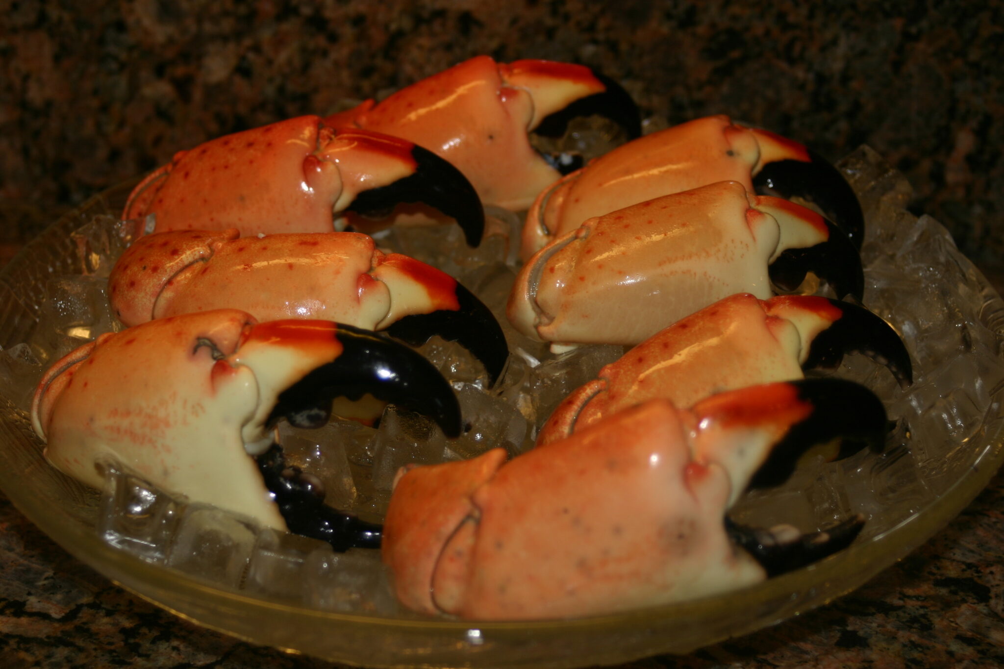 Inside Key West Seafood — Inside Key West